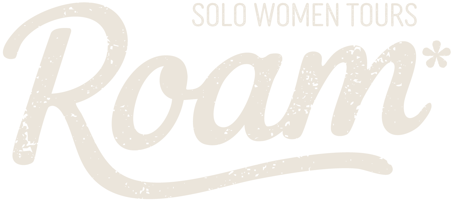 Roam - Travel Focus Group